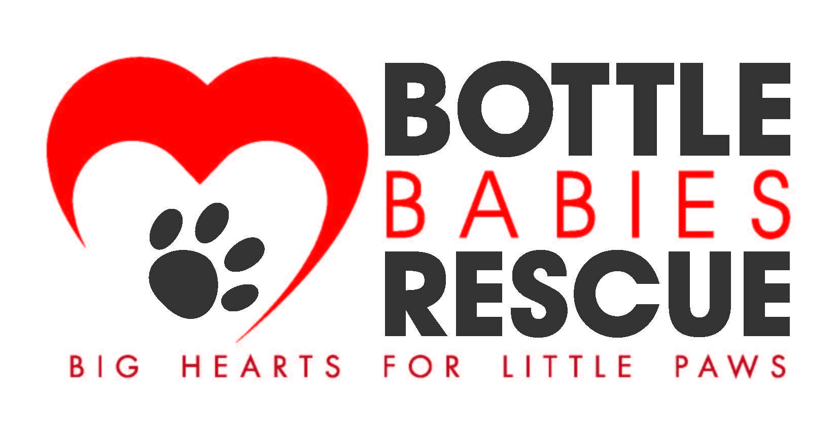 St. Roch Rescue Clinic | Bottle Babies Rescue